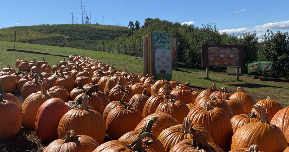 22 Things to Do in Charlottesville This Fall (Your Ultimate Bucket List ...