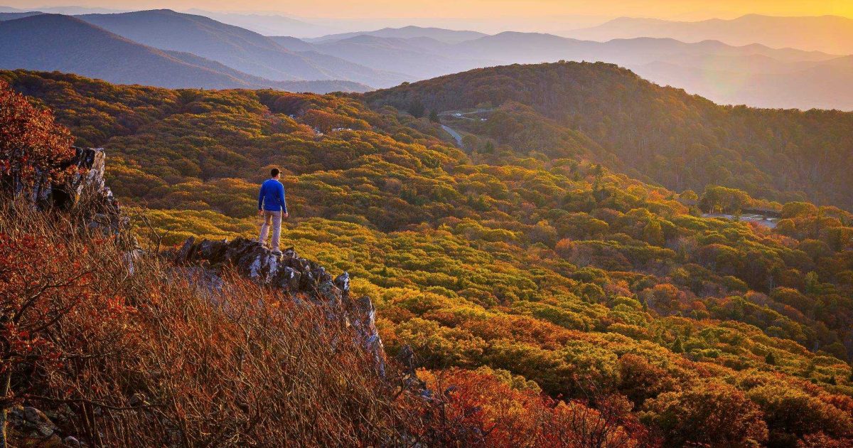 Only in Charlottesville | Visit Charlottesville