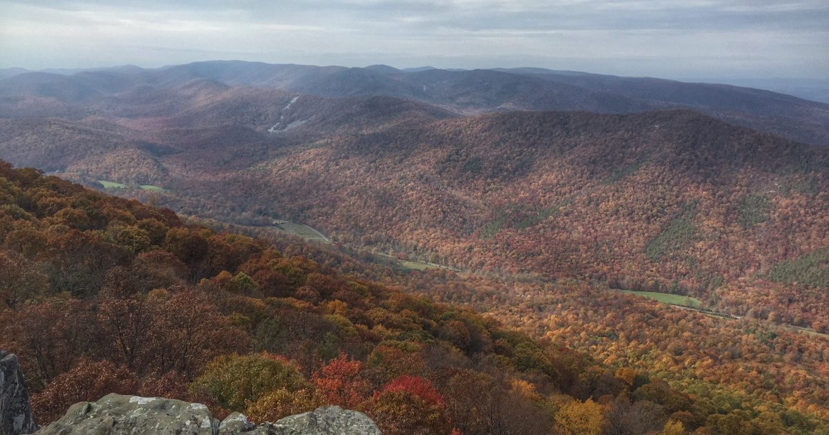 14 Family-Friendly Fall Experiences in Charlottesville and Albemarle ...