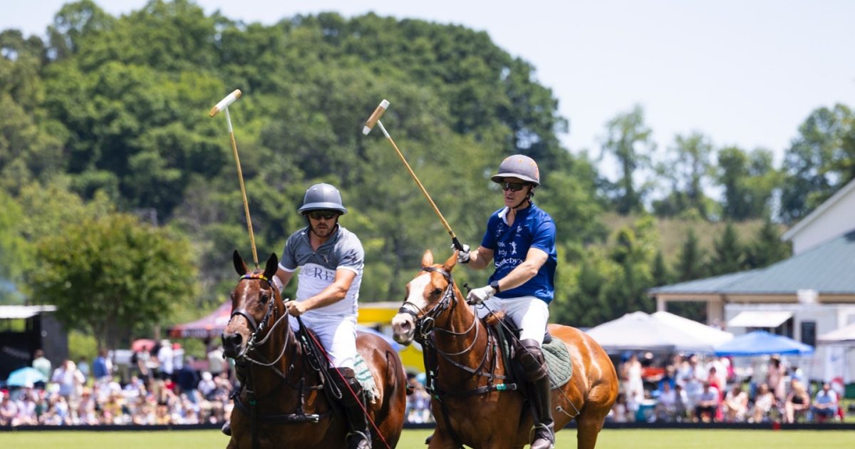 Your Cheat Sheet to Polo at King Family Vineyards | Visit Charlottesville