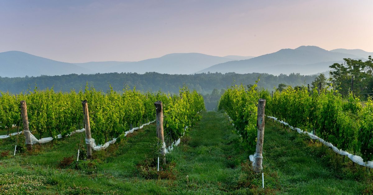 Explore Charlottesville and Albemarle County this Summer! | Visit ...