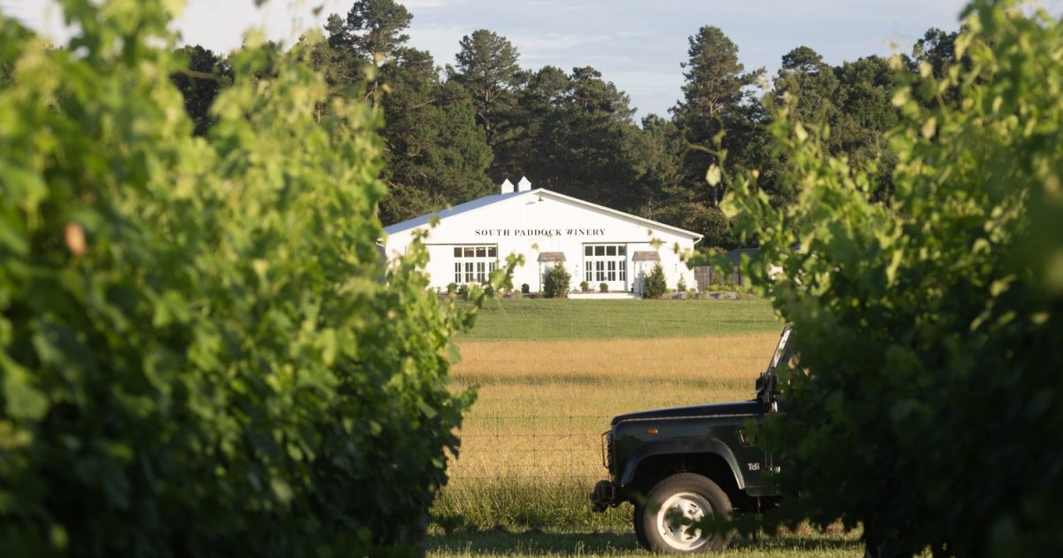 The South Paddock Winery at Whitehall Farm | Visit Charlottesville